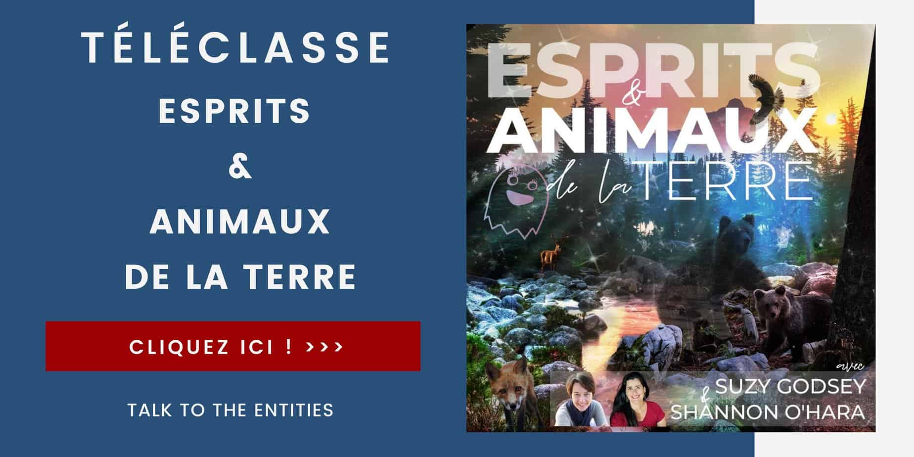 Esprits et animaux de la Terre - Christelle Firework